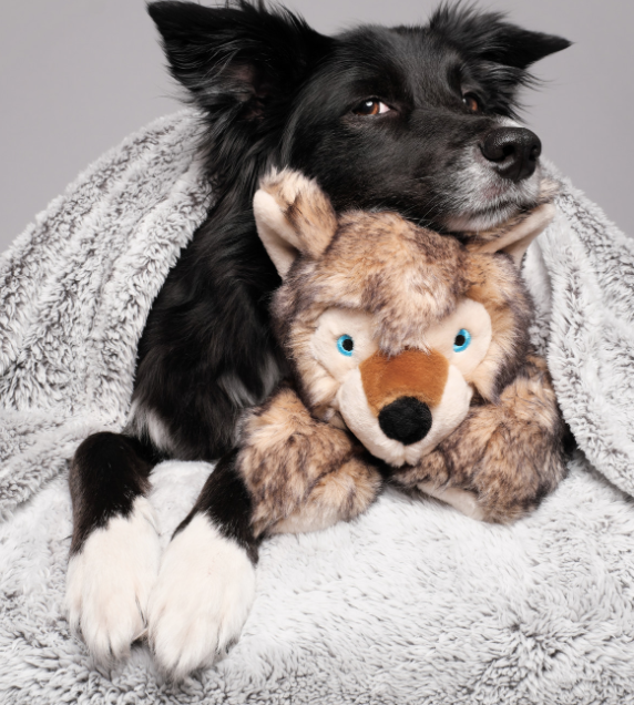 Fluff & Tuff Lobo Wolf 20'' – Discover Dogs