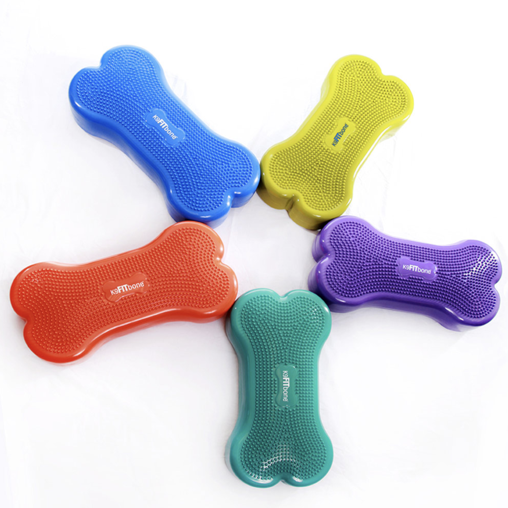 FitPAWS K9 FITbone – Discover Dogs