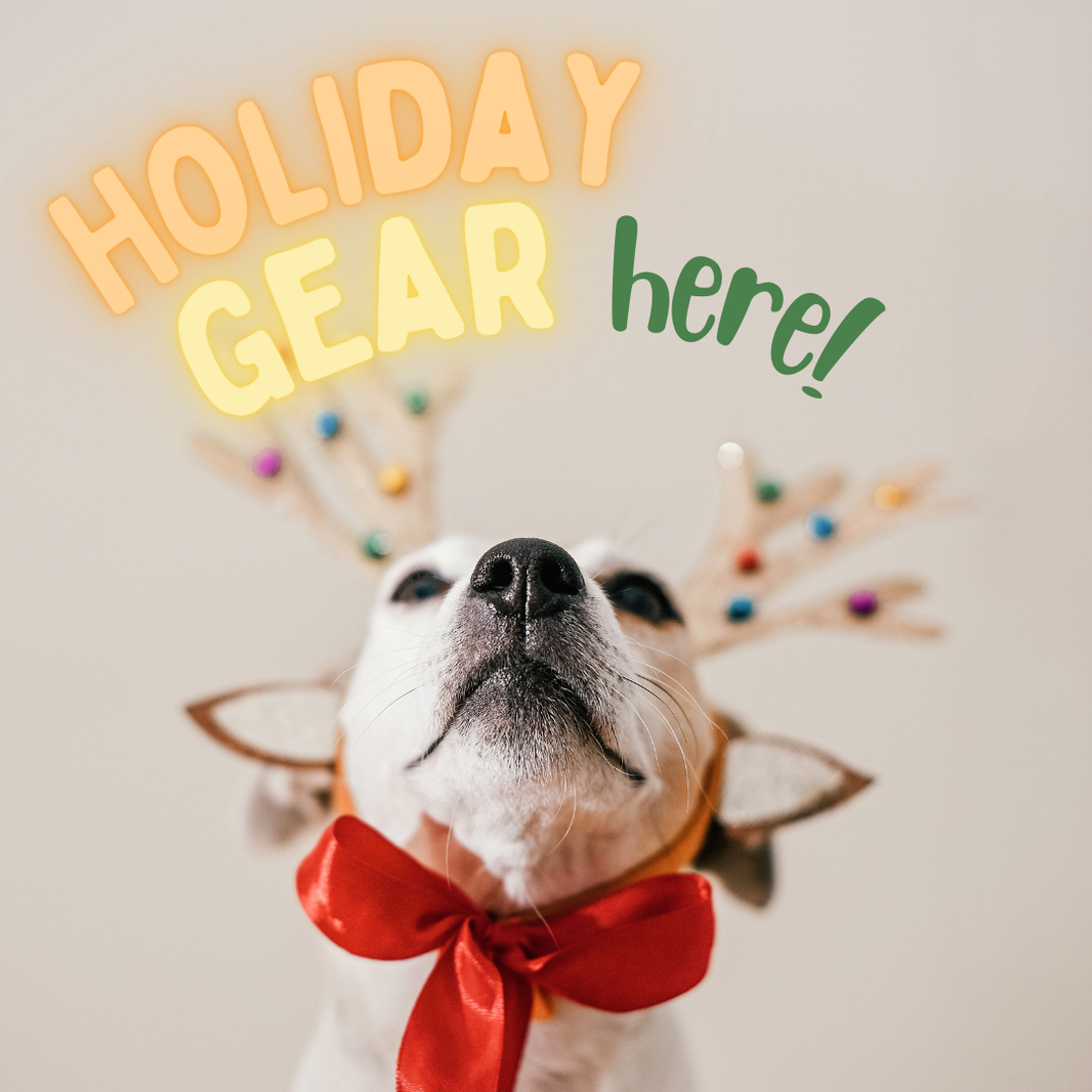 Welcome to Discover Dogs