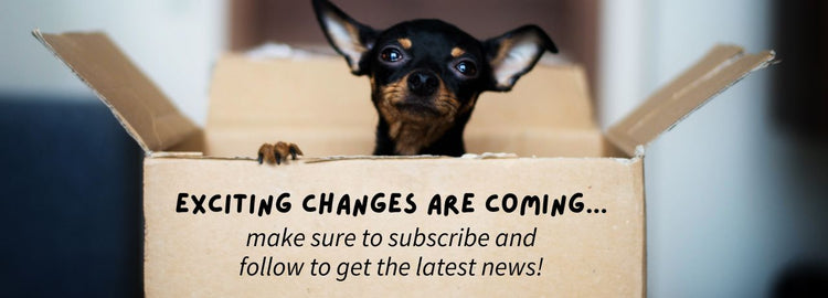 Welcome to Discover Dogs